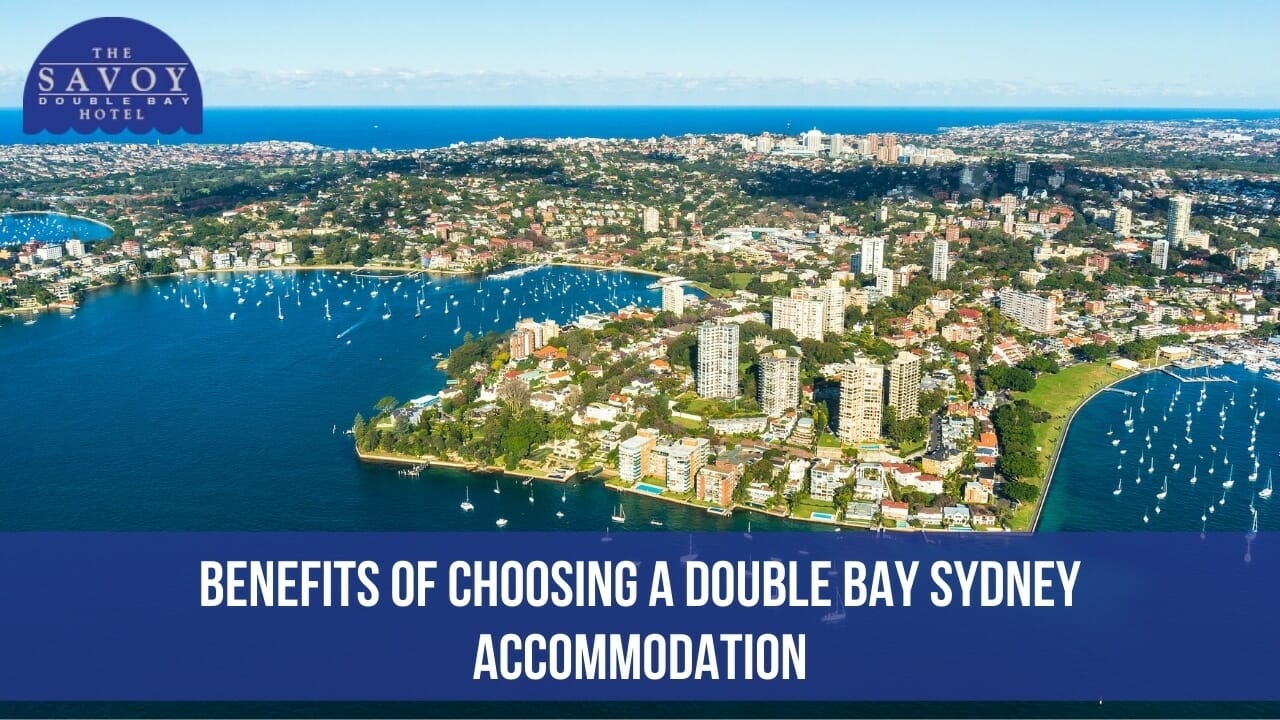 Benefits of Choosing a Double Bay Sydney Accommodation - Savoy Hotel