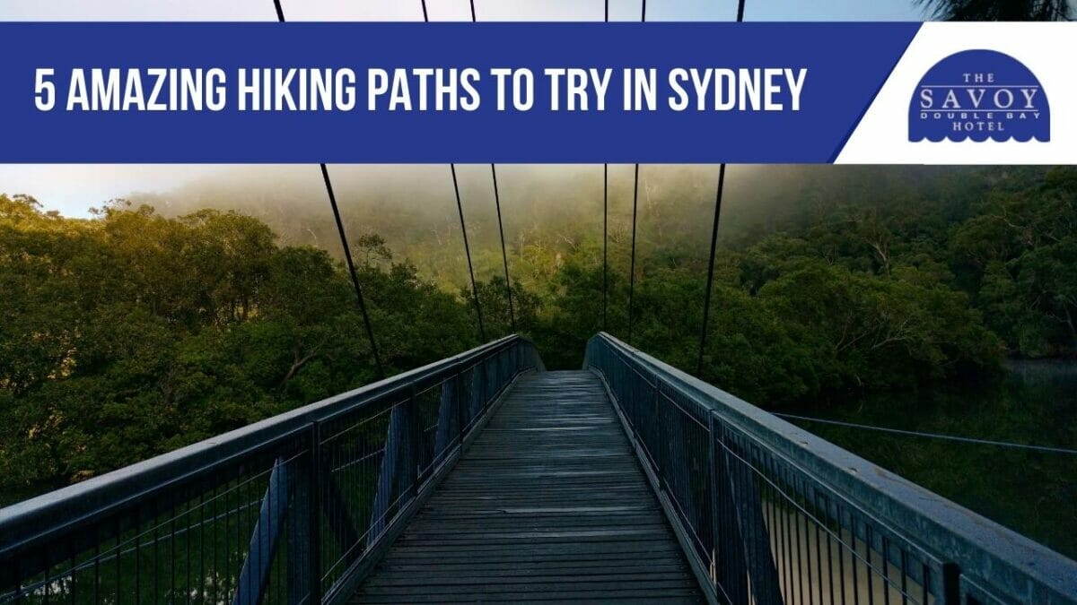 Breathtaking Scenic Hikes in Sydney - Savoy Hotel