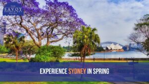 Experience Sydney in Spring - Savoy Hotel