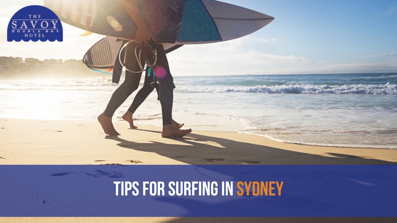 Tips for Surfing in Sydney - Savoy Hotel
